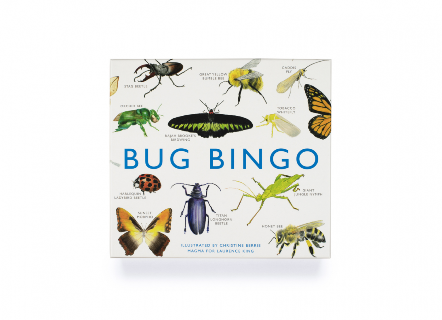 Bug Bingo - Family Board Game