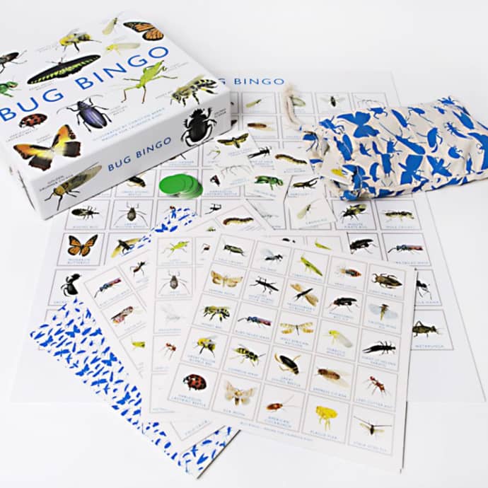 Bug Bingo - Family Board Game
