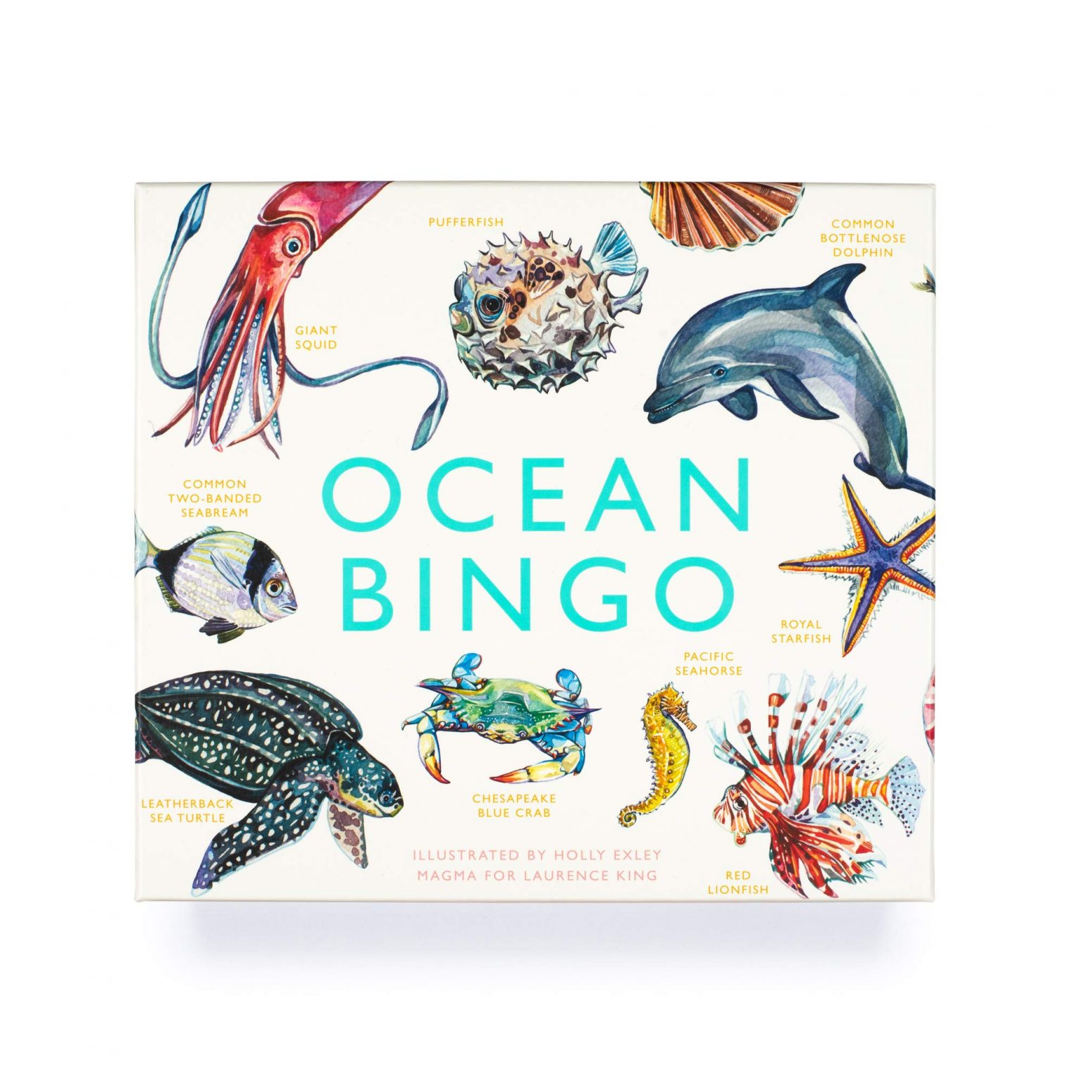 Ocean Bingo - Family Board Game